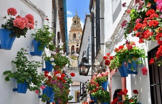 7 Calles de Córdoba peculiares para visitar al menos una vez
